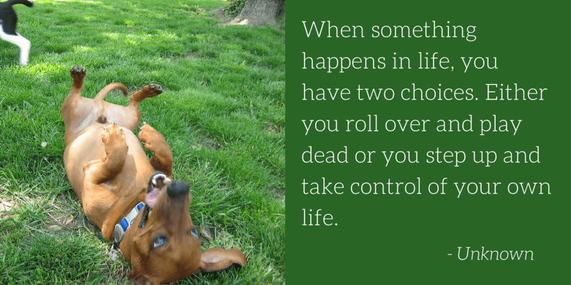 Why You Should Always Fight A Credit Card Lawsuit